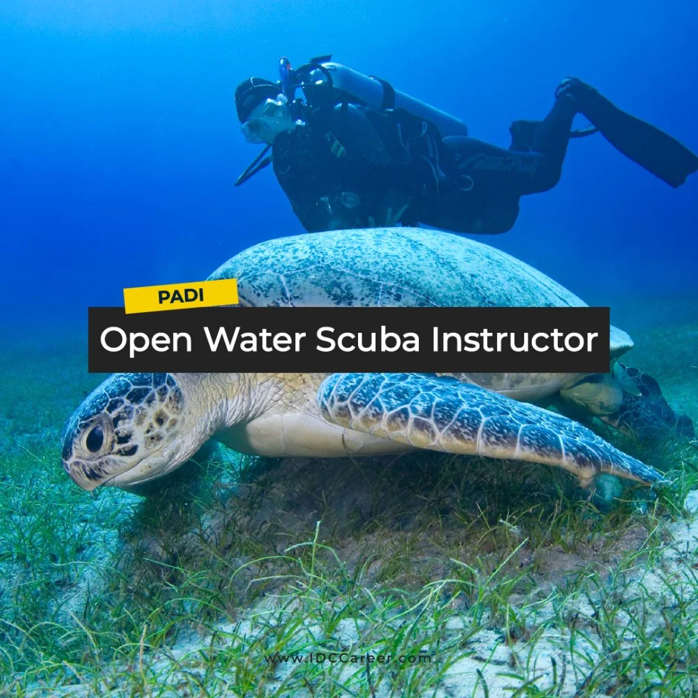 Open Water Scuba Instructor (OWSI) |PADI | GoPro | IDC Career