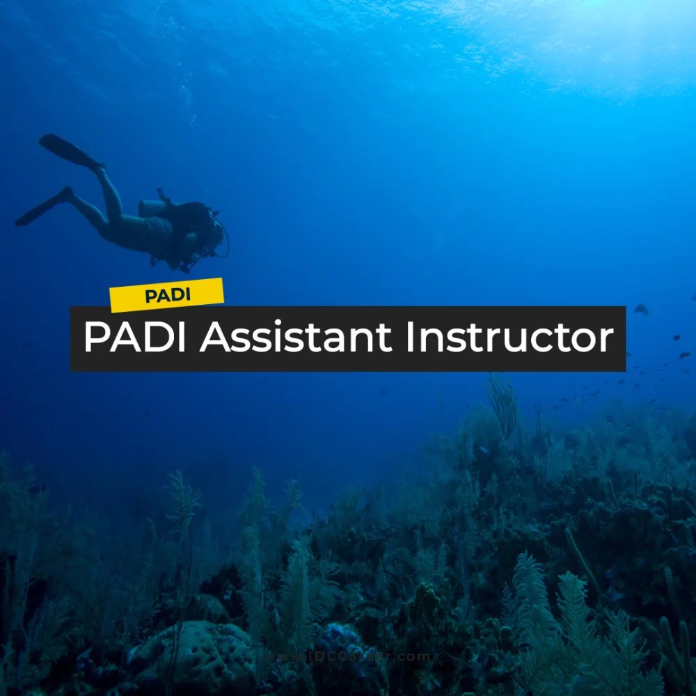 Assistant Instructor | PADI | GoPro | IDC Career