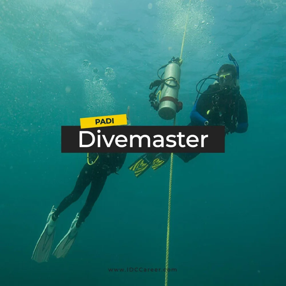 Divemaster | PADI | GoPro | IDC Career